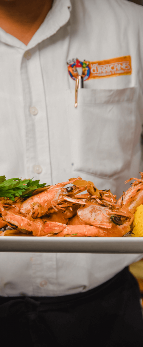 Conócenos | Los Curricanes